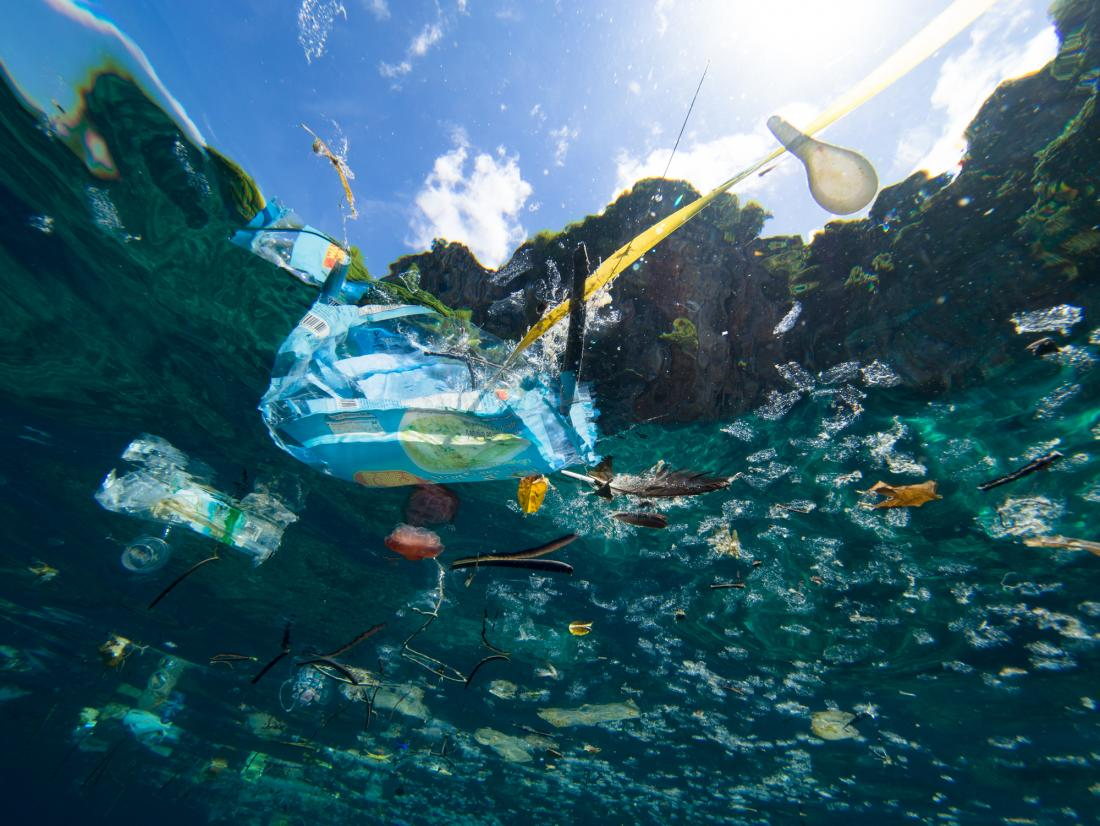 Plastic Pollution Harms The Bacteria That Produce 10% Of The Oxygen We ...